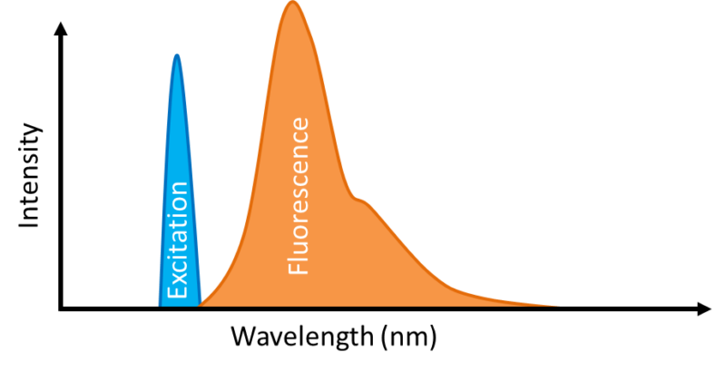 Fluorescence spectroscopy - Ibsen Photonics