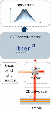 What Is Spectral Domain OCT? Uses and applications - Ibsen Photonics
