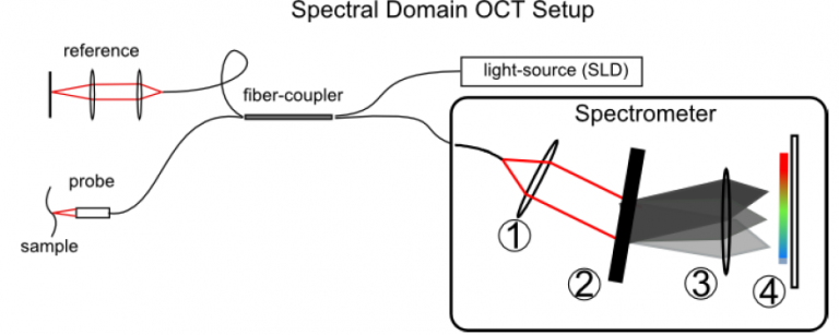 A new compact EAGLE for Spectral Domain OCT - Ibsen Photonics