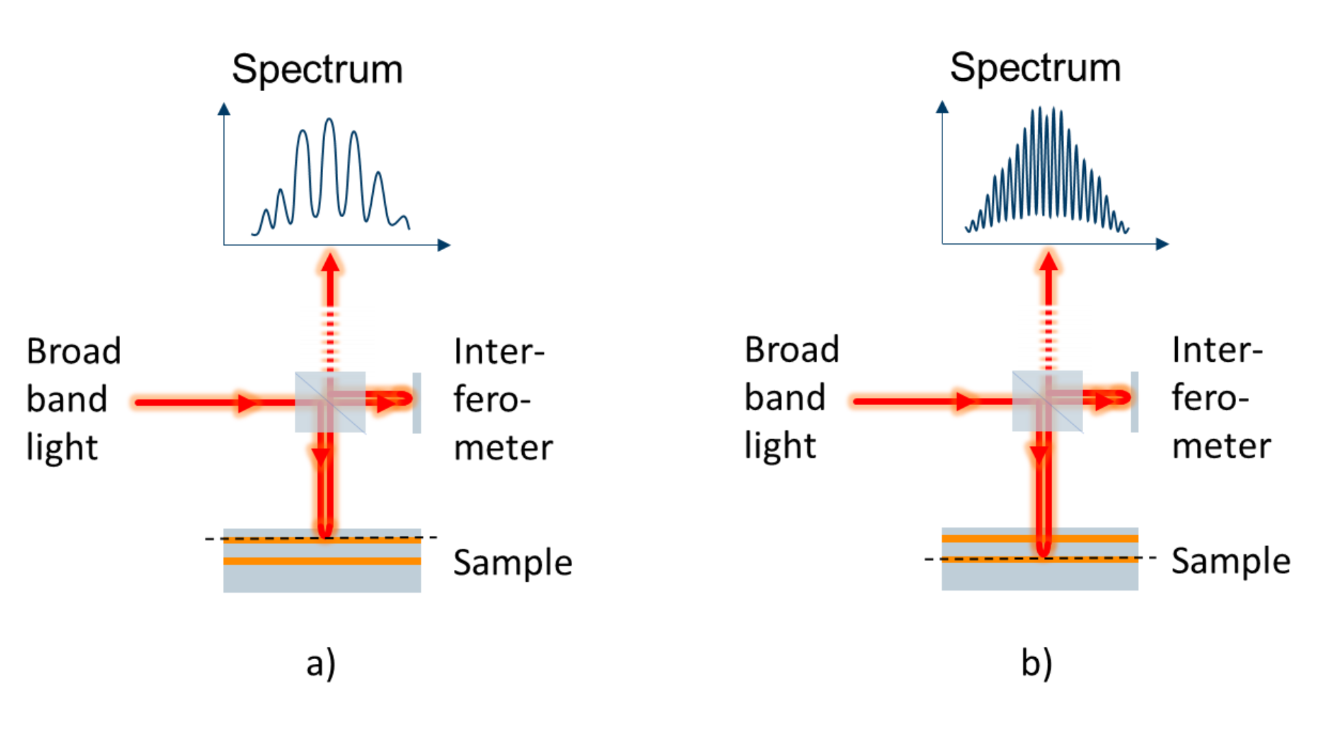 What Is Spectral Domain OCT? Uses and applications - Ibsen Photonics